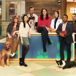 Strays - Rotten Tomatoes