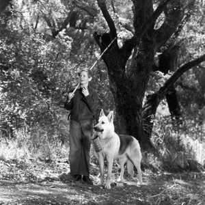 Ted Donaldson - Rotten Tomatoes