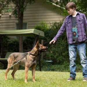 Max - Rotten Tomatoes