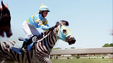 Racing Stripes Sandy