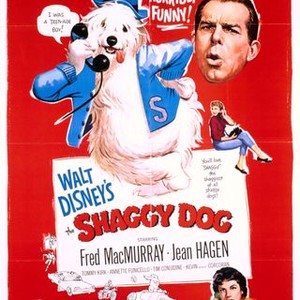 The Shaggy Dog - Rotten Tomatoes