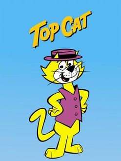 top cat ft