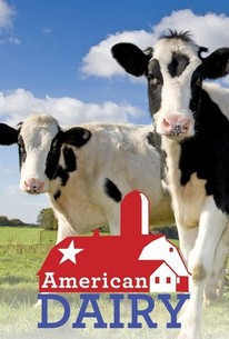 American Diary | Rotten Tomatoes