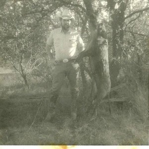 Jerry Campbell - Rotten Tomatoes