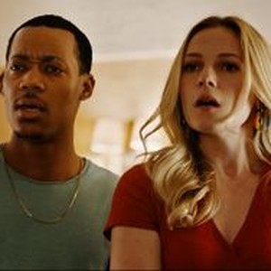 The Argument - Rotten Tomatoes