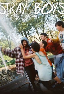 Stray Boys | Rotten Tomatoes