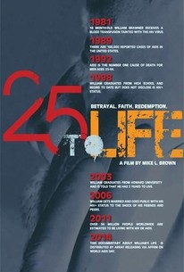 25 to Life (2014) | Rotten Tomatoes