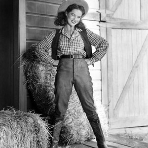 Dona Drake - Rotten Tomatoes