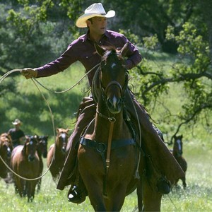 Flicka - Rotten Tomatoes