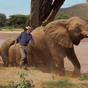 Andy's Wild Adventures: Season 1, Episode 8 - Rotten Tomatoes