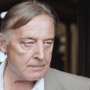 Pogey Beach - Rotten Tomatoes