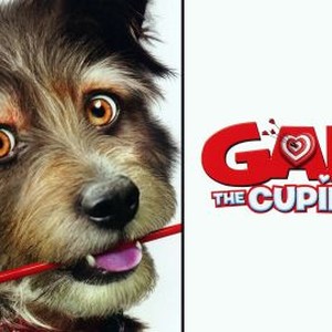 Gabe the Cupid Dog (2012) - Rotten Tomatoes
