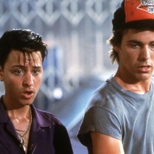 My Science Project - Rotten Tomatoes