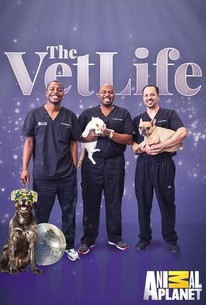 The Vet Life: Season 2 | Rotten Tomatoes