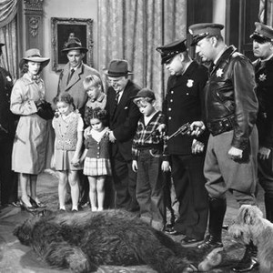 Dale Belding - Rotten Tomatoes