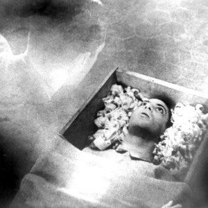 Julian West - Rotten Tomatoes