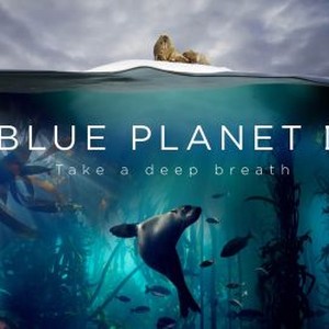Blue Planet II - Rotten Tomatoes