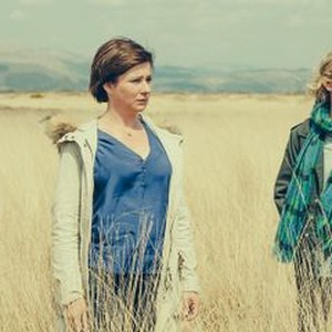 Alex Harries - Rotten Tomatoes