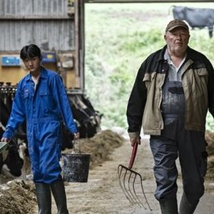 The Quiet Migration - Rotten Tomatoes