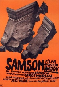 Samson | Rotten Tomatoes