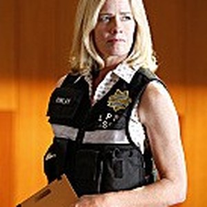 CSI: Crime Scene Investigation - Rotten Tomatoes