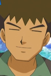 Pokémon the Series: DP Battle Dimension, Episode 10 | Rotten Tomatoes