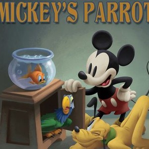 Mickey's Parrot - Rotten Tomatoes