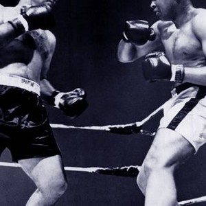 The Super Fight - Rotten Tomatoes