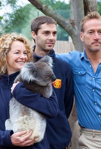 Animal Park: Season 13, Episode 14 | Rotten Tomatoes