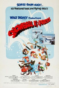 Snowball Express | Rotten Tomatoes