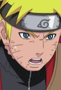 Naruto: Shippuden: Season 8, Episode 13 | Rotten Tomatoes