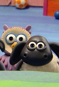 Timmy Time: Season 1, Episode 26 | Rotten Tomatoes