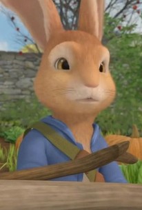 Peter Rabbit: Season 2, Episode 3 | Rotten Tomatoes