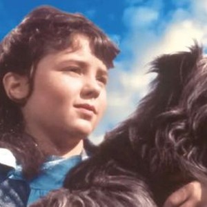 Greyfriars Bobby - Rotten Tomatoes
