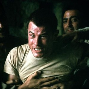 Brad Davis - Rotten Tomatoes