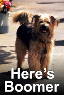 Here's Boomer - Rotten Tomatoes