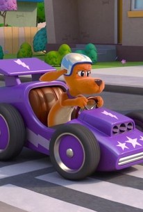 Go Dog Go: Season 2, Episode 3 | Rotten Tomatoes