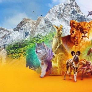 Animal: Season 1, Episode 1 - Rotten Tomatoes