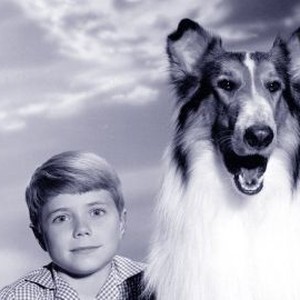 Lassie - Rotten Tomatoes