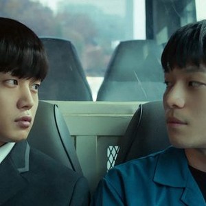 Shark: The Beginning - Rotten Tomatoes