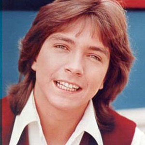 The Partridge Family - Rotten Tomatoes