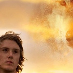 Druid Peak - Rotten Tomatoes