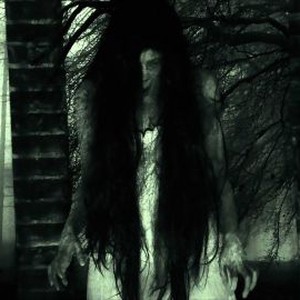 From Beneath - Rotten Tomatoes