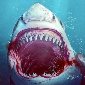 Sharkula - Rotten Tomatoes