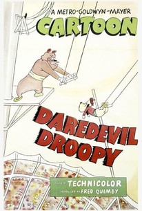 Daredevil Droopy | Rotten Tomatoes