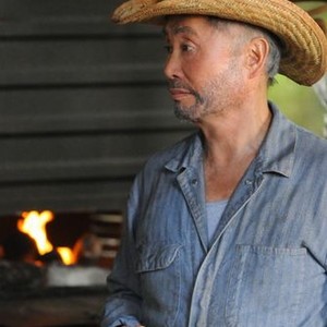 George Takei - Rotten Tomatoes