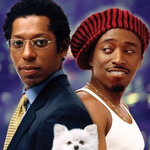 Double Take - Rotten Tomatoes