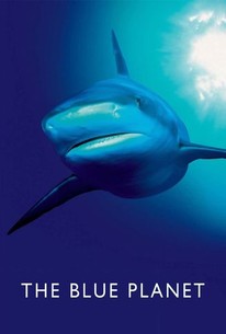 The Blue Planet: Season 1 | Rotten Tomatoes