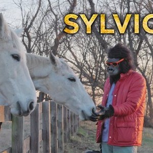 Sylvio - Rotten Tomatoes