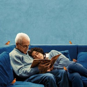 The Eternal Memory - Rotten Tomatoes